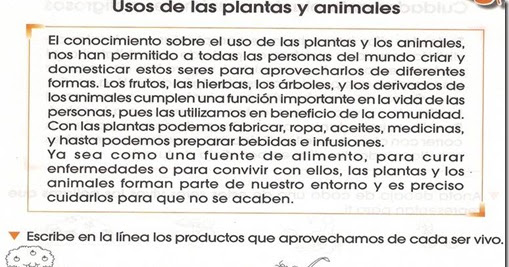 Ejercicios de Primaria: Las plantas y los animales – ejercicios y ...